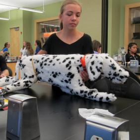 Inspire U! (Ages 14-18) Summer | Delaware Valley University